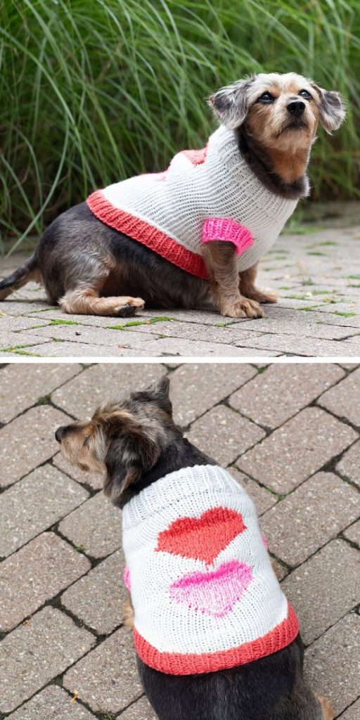 Comfy Knit Dog Sweater Patterns for Pleasant Winter Walks