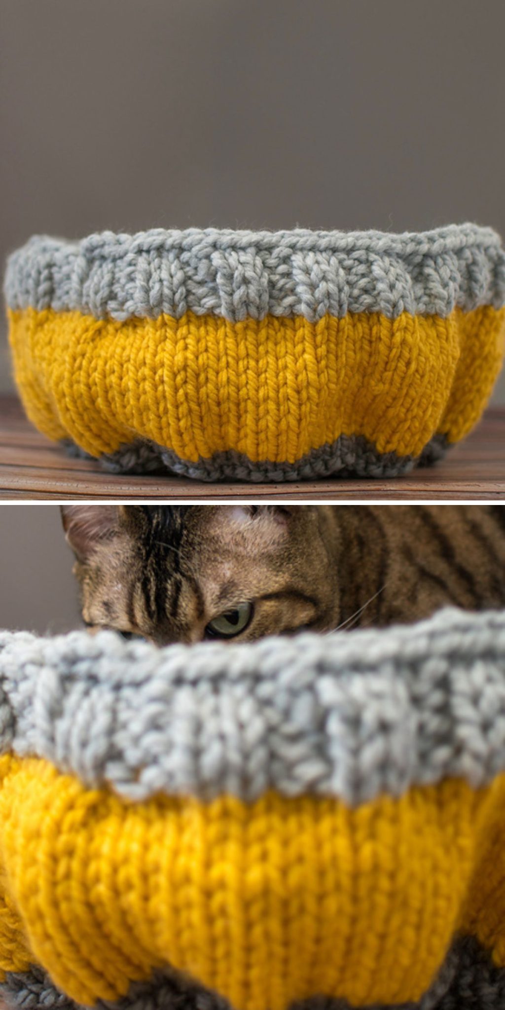 14 Cozy Knitted Pet Accessories for Your Beloved Dogs and Cats