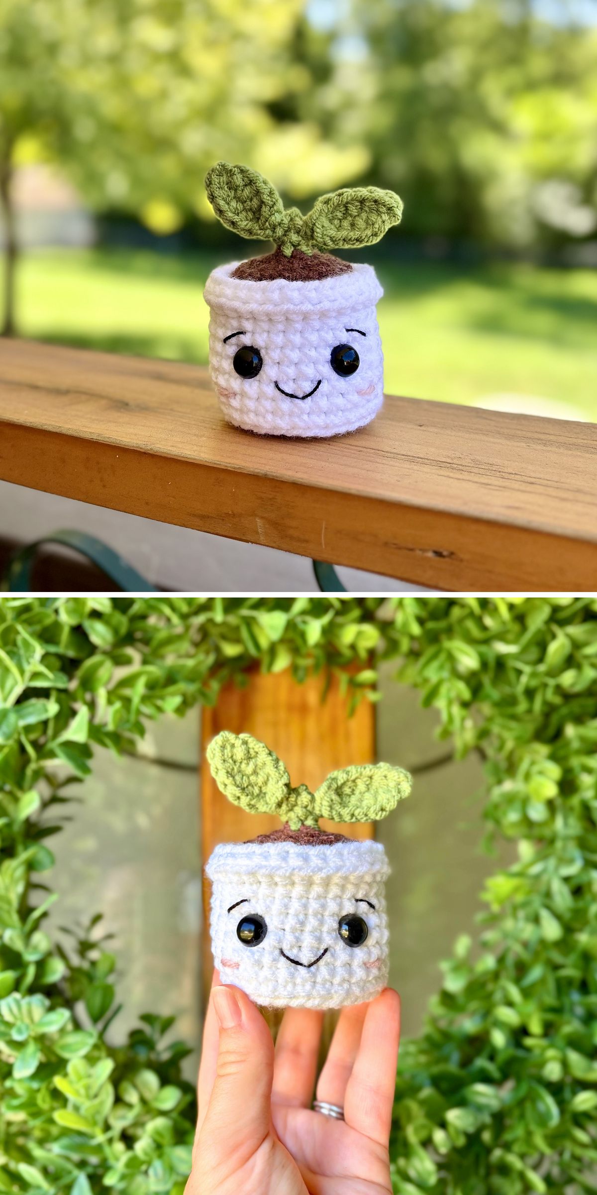 Free Crochet Plant Patterns for Cute & Zero-Care Greenery